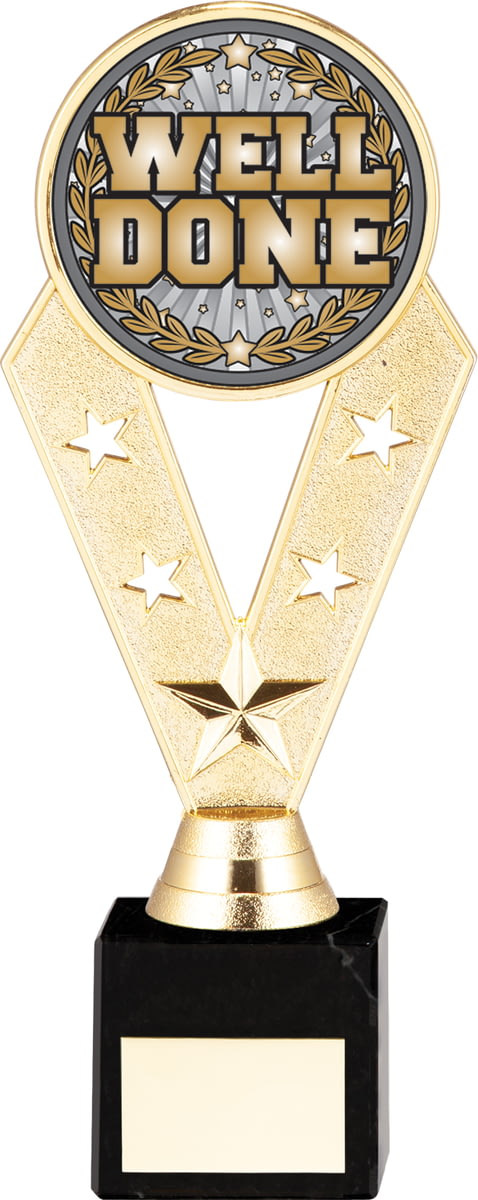 Alpha Multisport Trophy : Buy Now from Epic Trophies