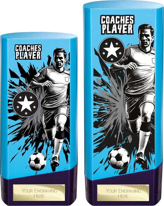 Prime Heavyweight Coaches Player Blue & Purple : Buy Now from Epic Trophies