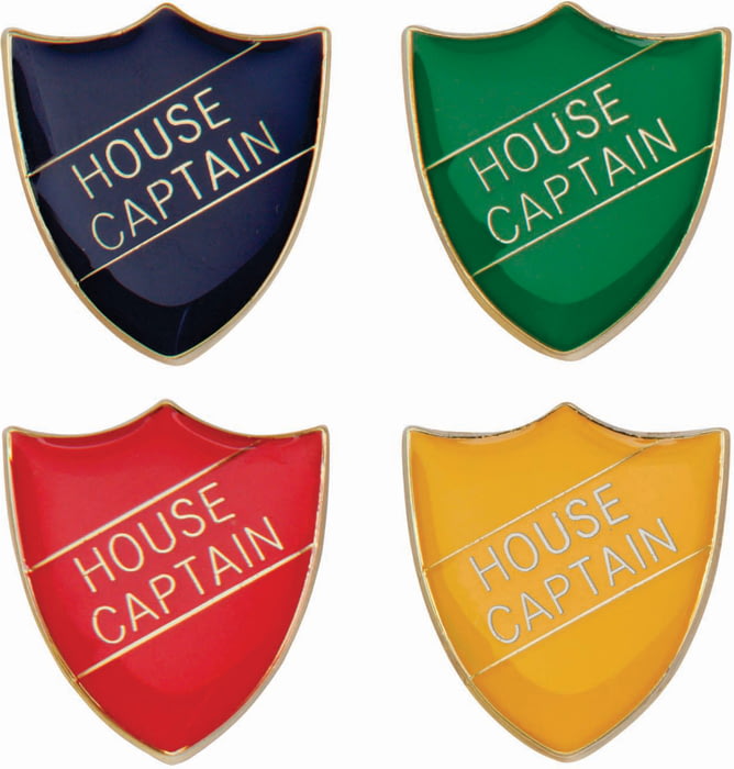 Scholar Pin Badge House Captain : Buy Now from Epic Trophies