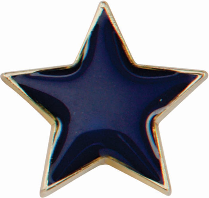 Scholar Pin Badge Star : Buy Now from Epic Trophies