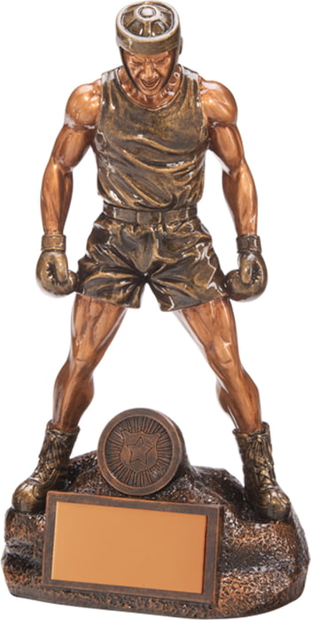 Ultimate Boxing Award : Buy Now from Epic Trophies