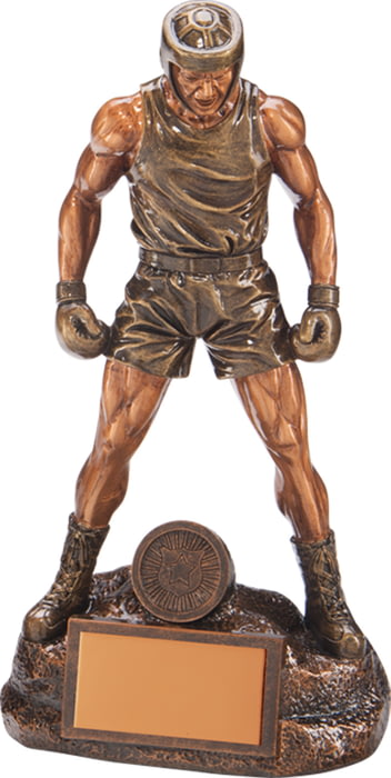 Ultimate Boxing Award : Buy Now from Epic Trophies