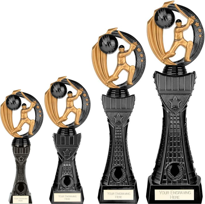 Renegade Heavyweight Cricket Award : Buy Now from Epic Trophies