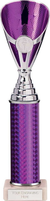 Rising Stars Plastic Trophy : Buy Now from Epic Trophies